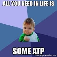 What Is ATP?: A Guide For Girls – HeySpotMeGirl.com